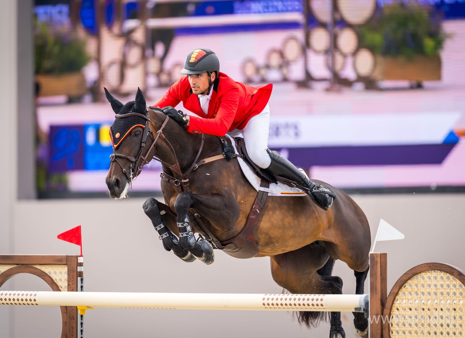 Nicola Philippaerts toont toekomstig toptalent met overwinning in Grote ...