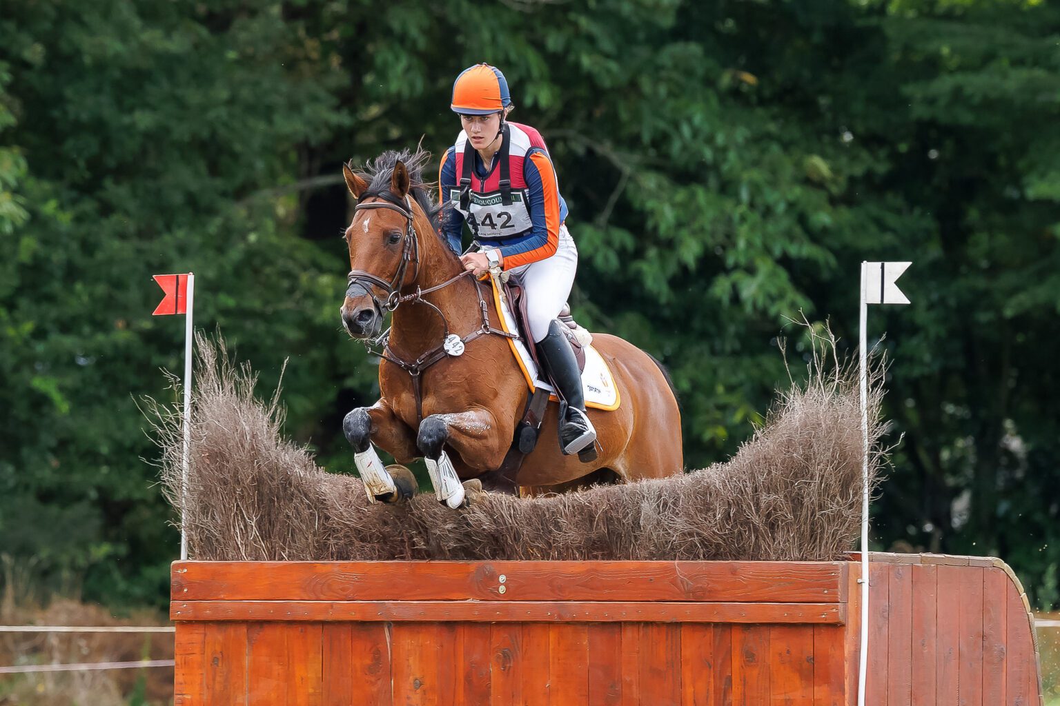 EK Le Mans: Pony-eventers vierde, Lieve van Houte individueel negende ...