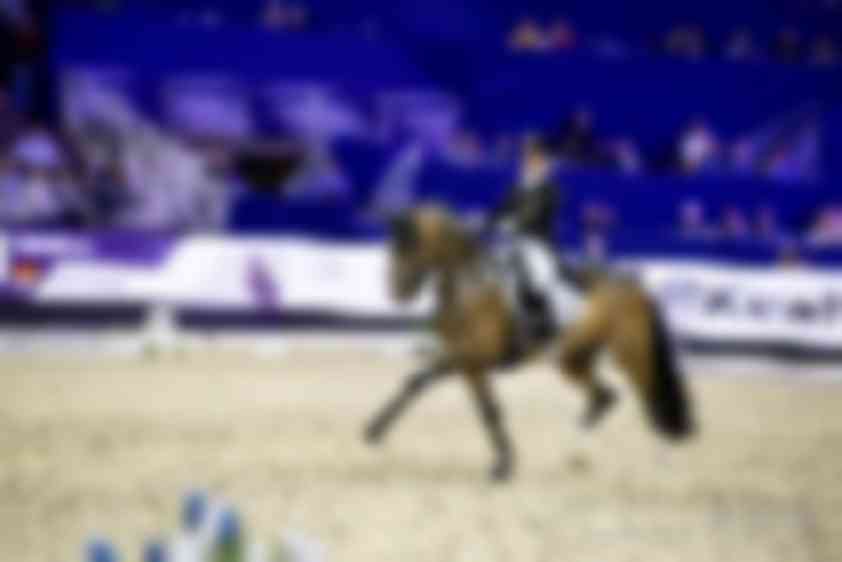 In Beeld: Grand Prix dressuur WB finale Omaha - Horses