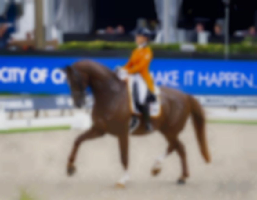 Patrick van der Meer over dressuurploeg Parijs: 'Een heel sterk team en ...